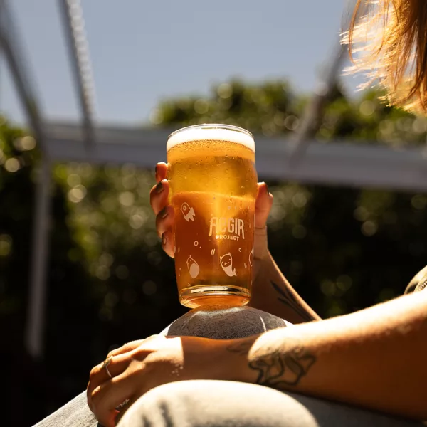 Aegir Project Brewery | Beer | Craft Beer